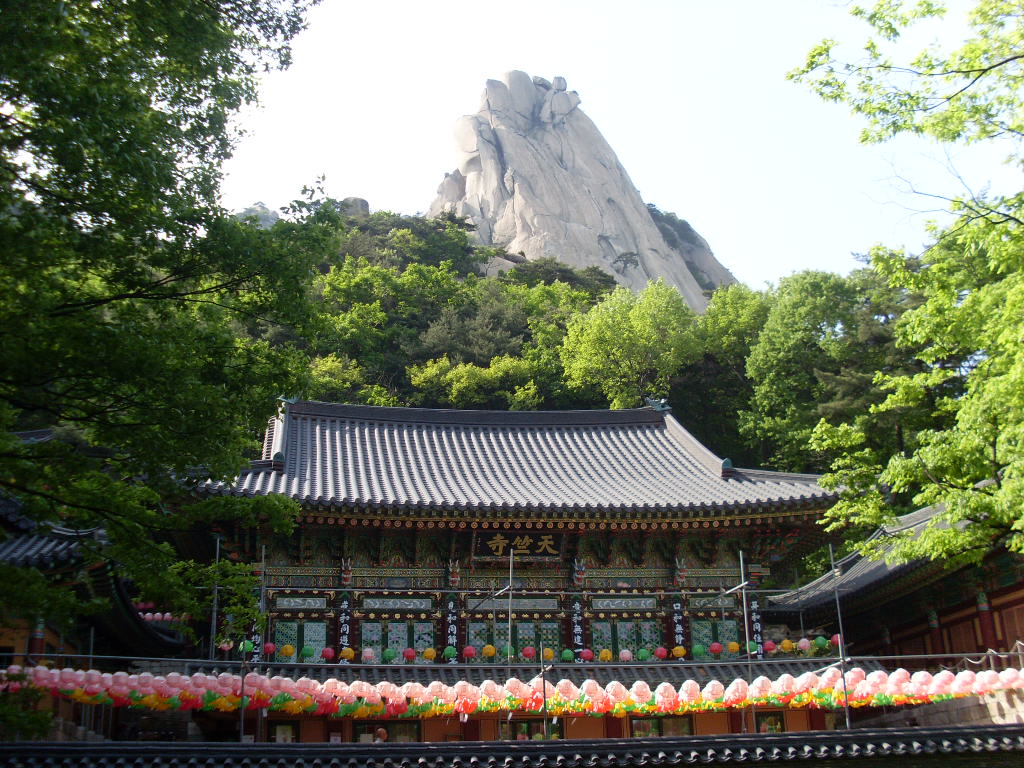 Studera Koreanska i Korea – Runwaytoadventures