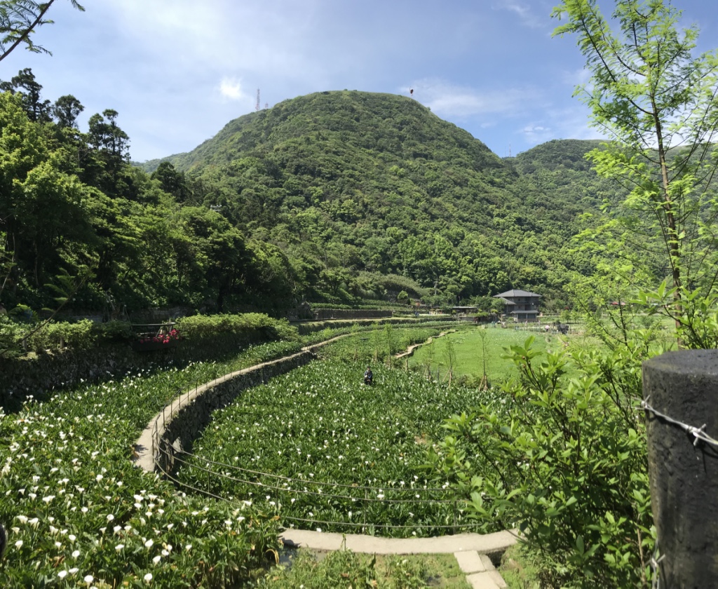 Yangmingshan national park, Taipei – Runwaytoadventures
